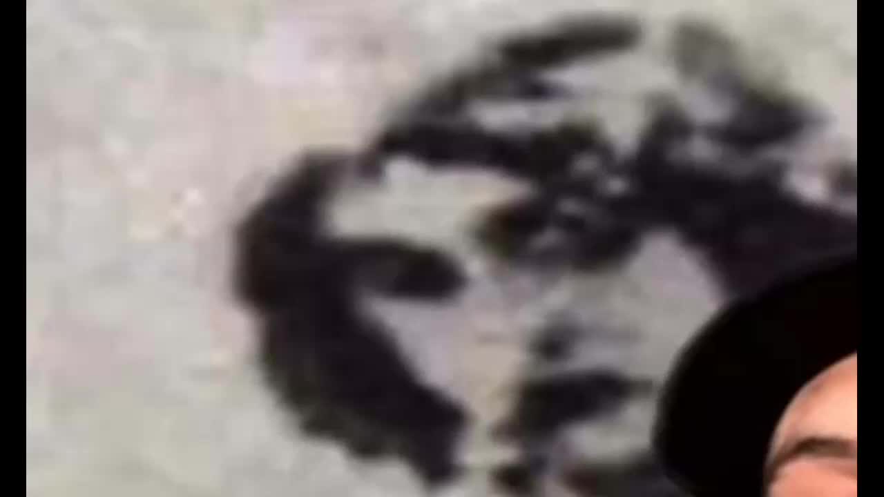 Picture purports to show Christ ?. - iConnectFX™