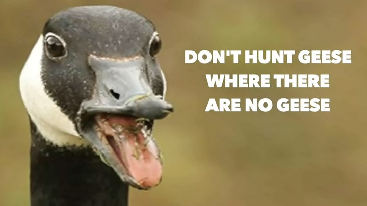 Do not hunt Geese where there is no Geese - iConnectFX™