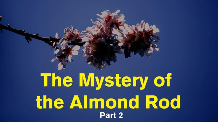 The Mystery of the Almond Rod - Part 2 - iConnectFX™